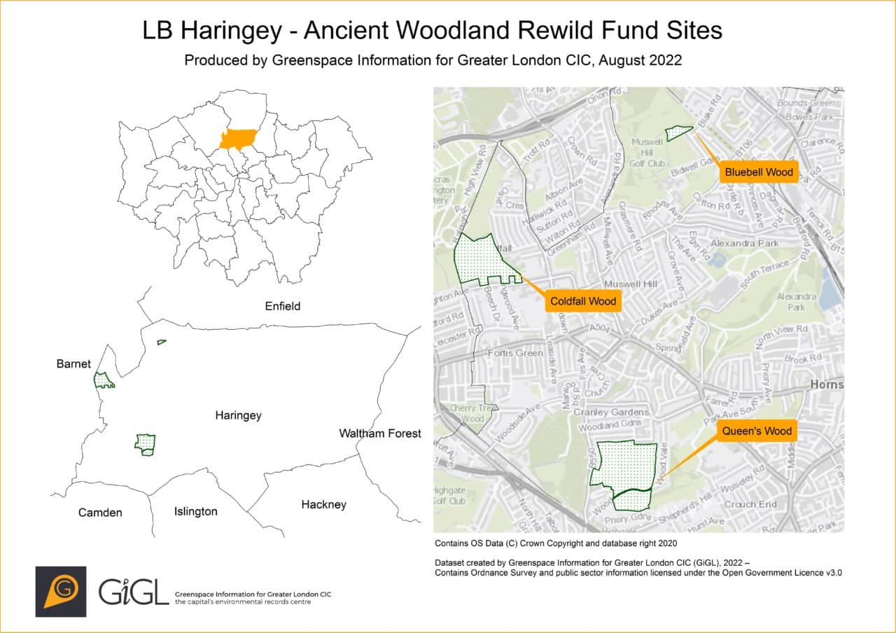 Rewild London: Haringey’s Ancient Woodlands - GIGL