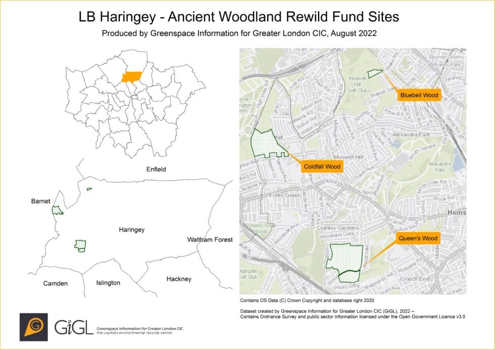 Rewild London: Haringey’s Ancient Woodlands - GIGL