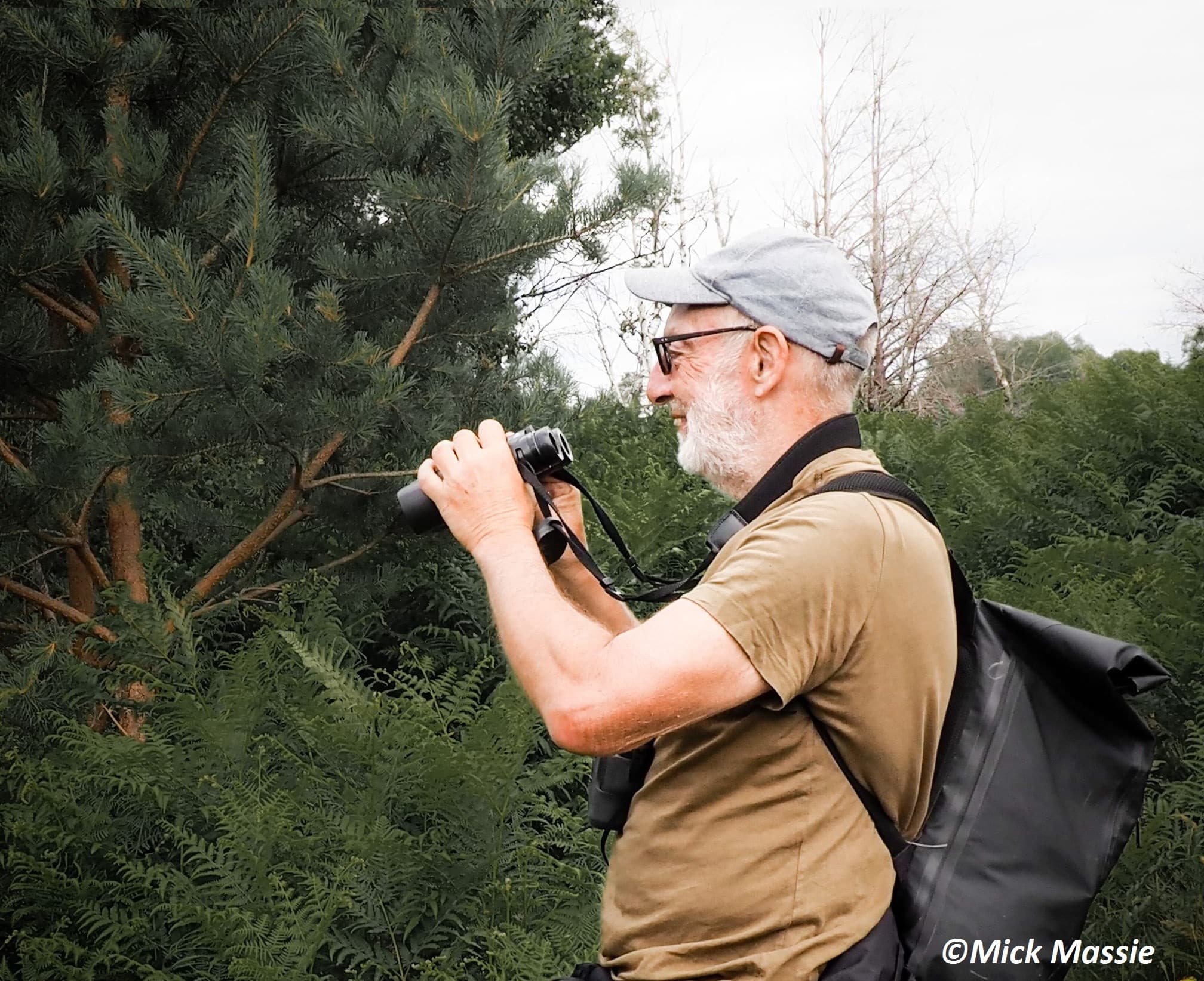 Celebrating our Verifiers: Neil Anderson - GIGL