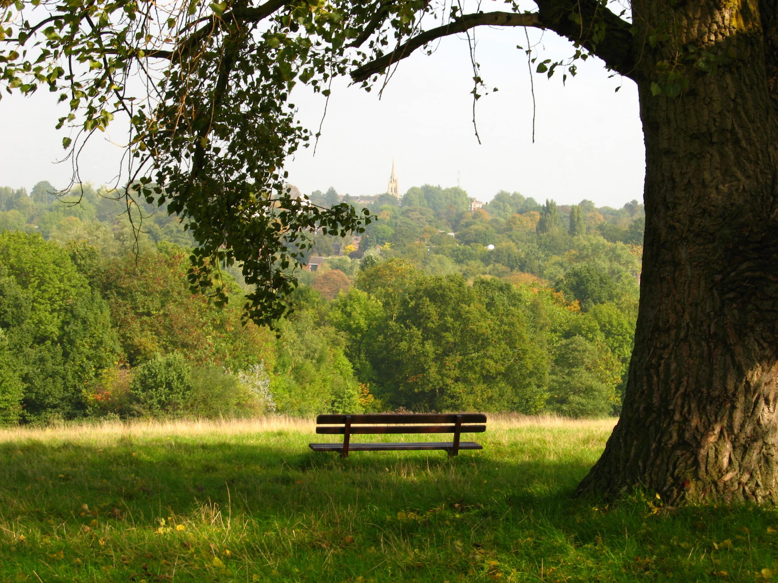 The importance of high quality natural spaces for well-being - GIGL