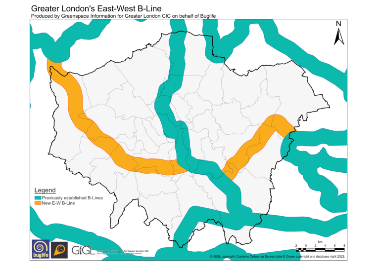 London's New B-Line - GIGL