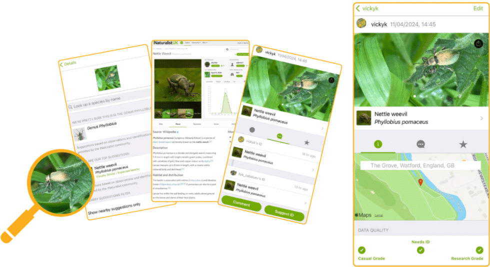 iNaturalist: Nature's Social Network - GIGL