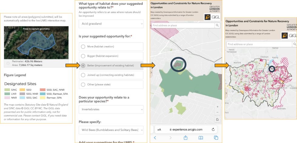 LNRS Interactive Map - GIGL