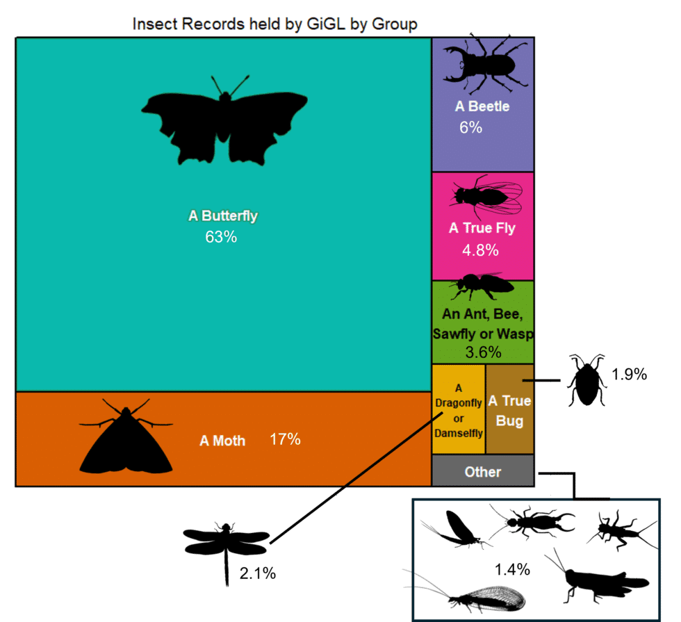 Exploring London’s Insect Records for National Insect Week (23-29 June ...